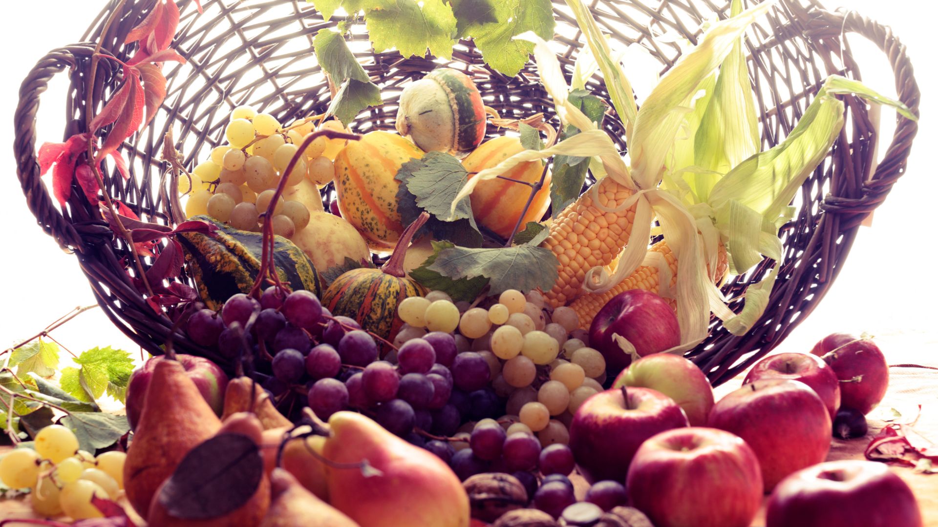 Cornucopia: Embracing the Blessings of Life – IMIH