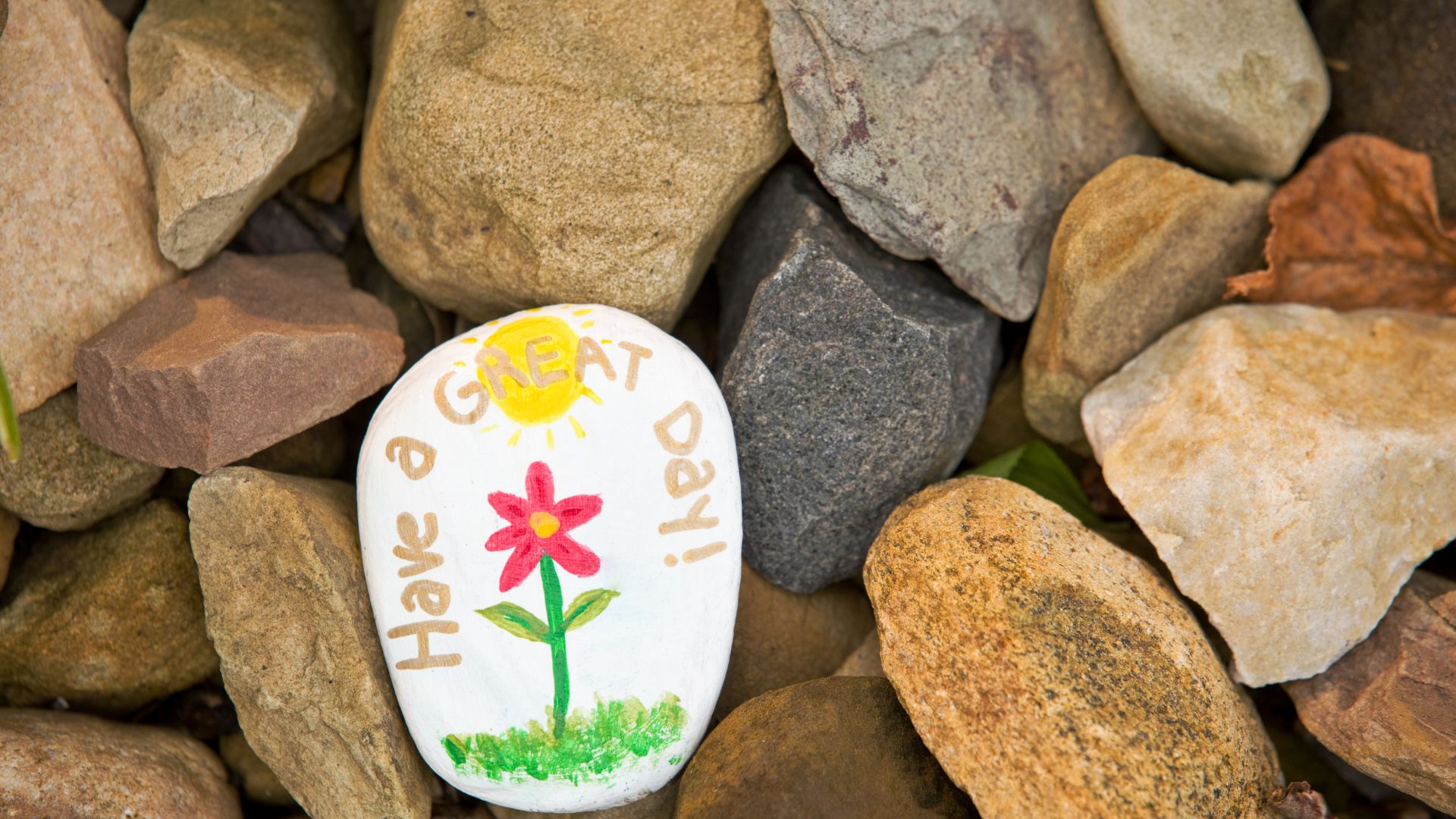 The Rejuvenating Power of Kindness – IMIH